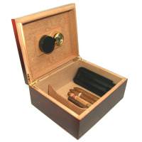 Cigar Humidor Starter Kit | Cigar Star | Cases & Cutters Canada